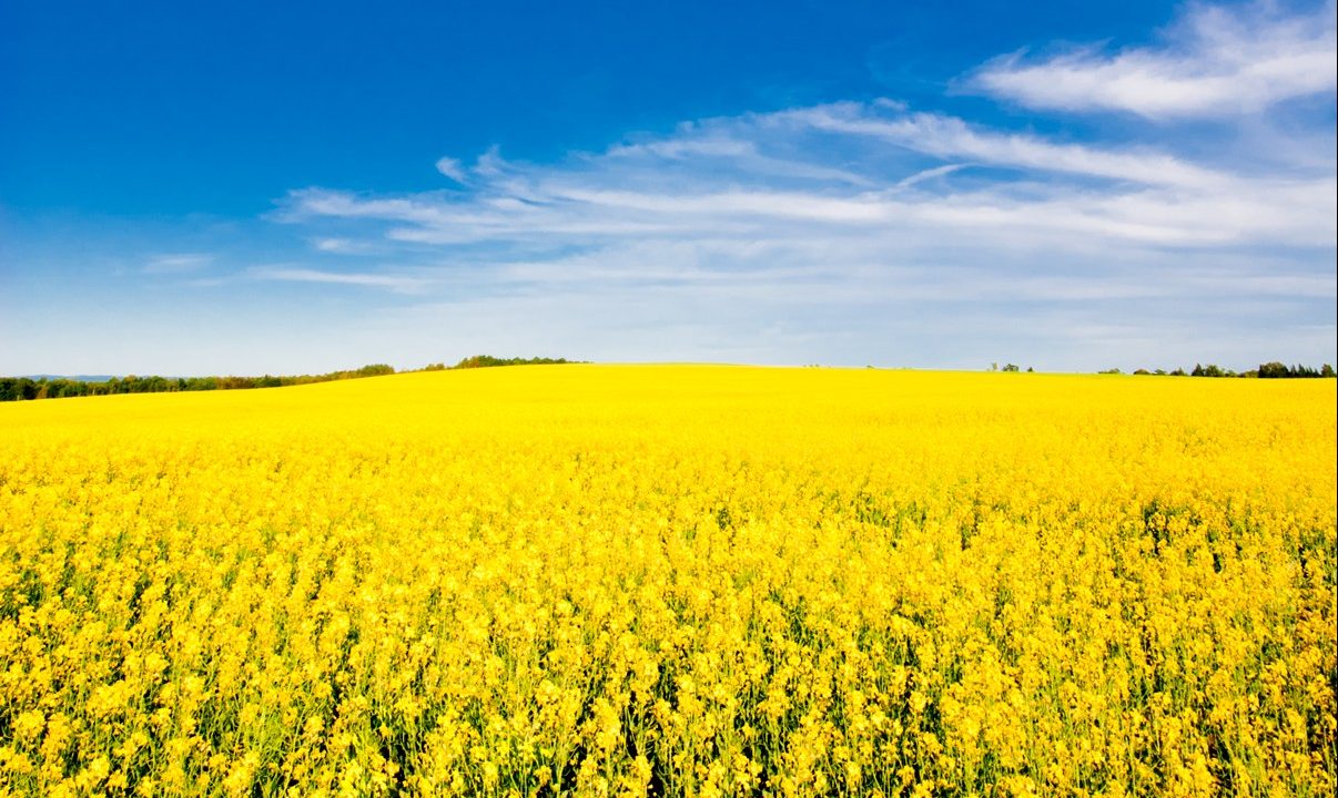 About Iron Gate - Iron Gate at Sylvan Lake